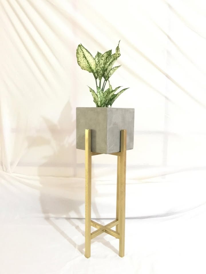 DANIELLA Glass Fiber Reinforced Concrete (GFRC) Planters Plant box ...