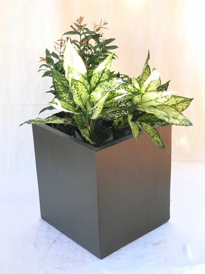 MARIA Glass Fiber Reinforced Concrete (GFRC) Planters Plant box ...