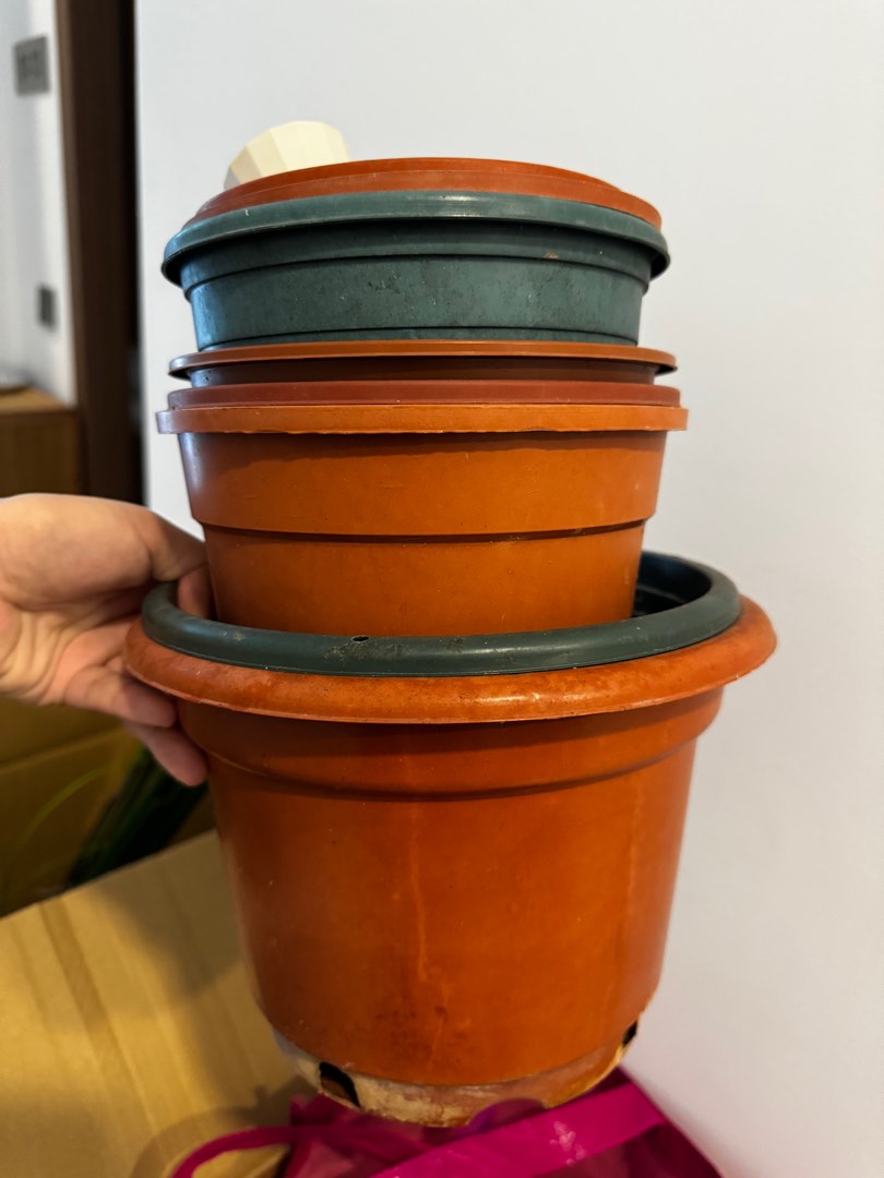 Plant pots, Furniture & Home Living, Gardening, Pots & Planters on ...