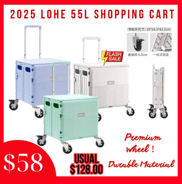 premium shopping cart 50L real size, Hobbies & Toys, Travel, Travel ...