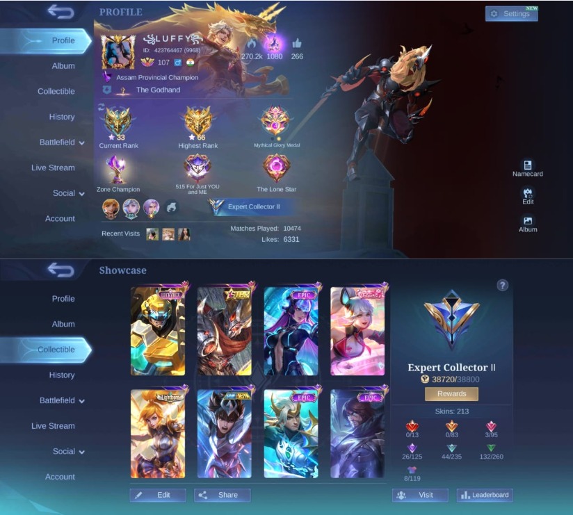 213 Skins | ALL HEROES | ALL EMBLEMS | SMURF | Mobile Legends Account ...