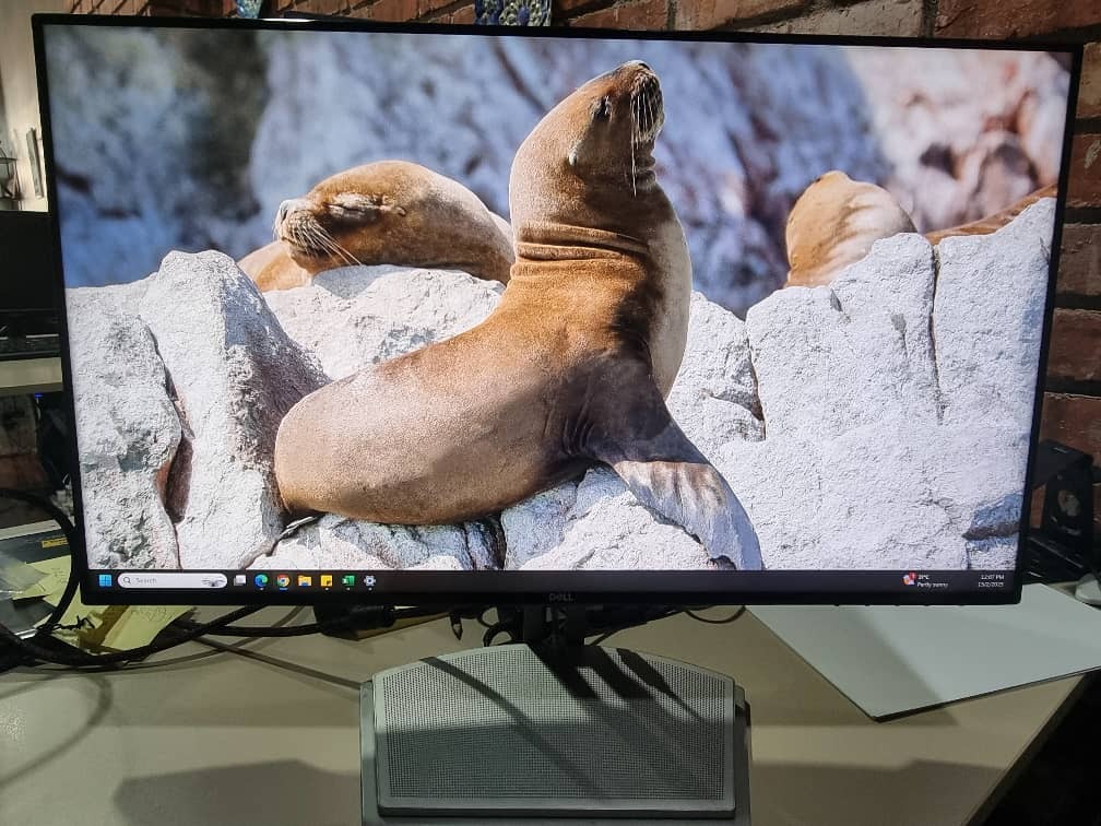 Dell S2418H 24" IPS Monitor FHD (1920 x 1080), Computers & Tech, Parts ...