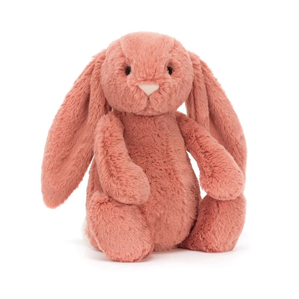Jellycat Bashful Sorrel Bunny Medium BNWOT, Babies & Kids, Infant ...
