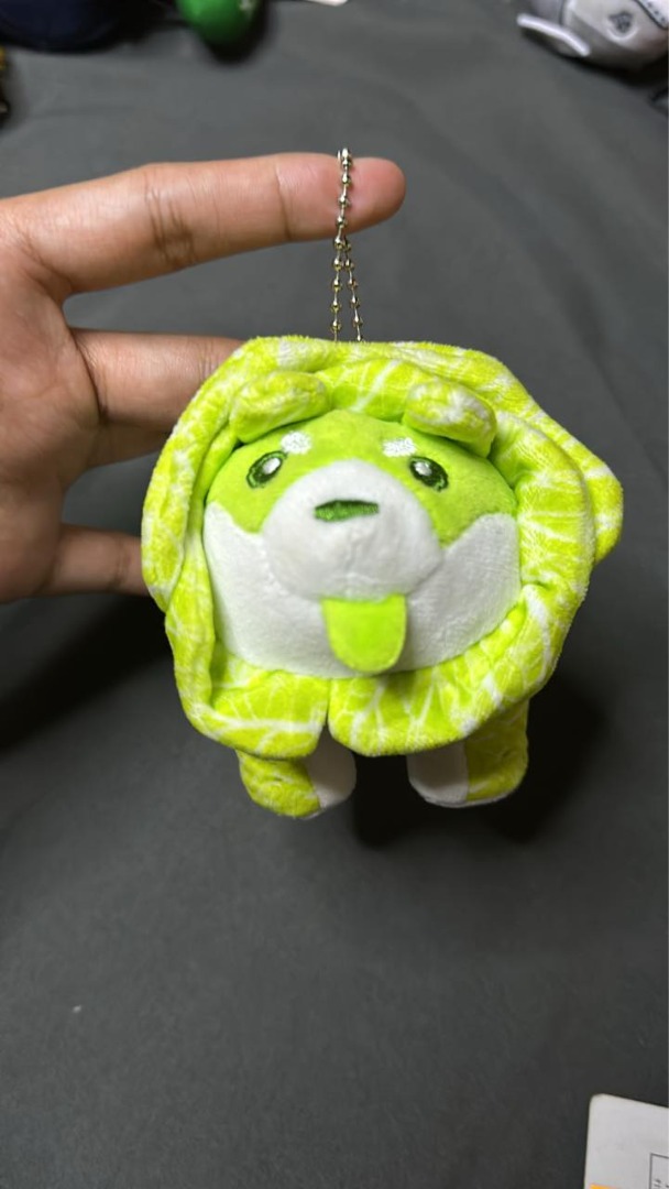 Vegetable Fairies: Cabbage Shiba **NO TAG**, Hobbies & Toys ...