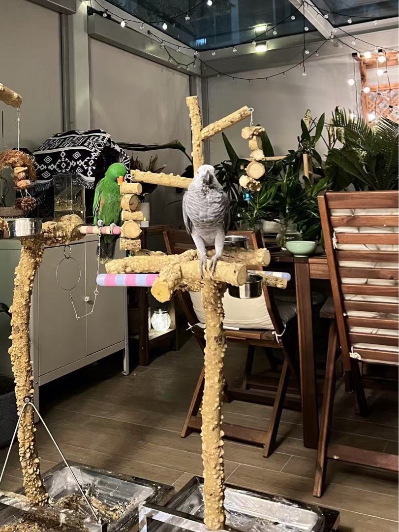 Bird Parrot prickly ash wood stand, Furniture & Home Living, Gardening ...