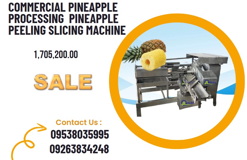 commercial pineapple processing pineapple peeling slicing machine ...
