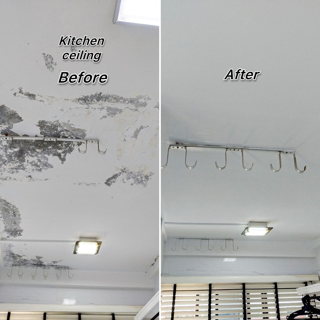 full House smooth plaster,&painting toilet ceiling & pipe paint,overlay, tiling toilet floor ...