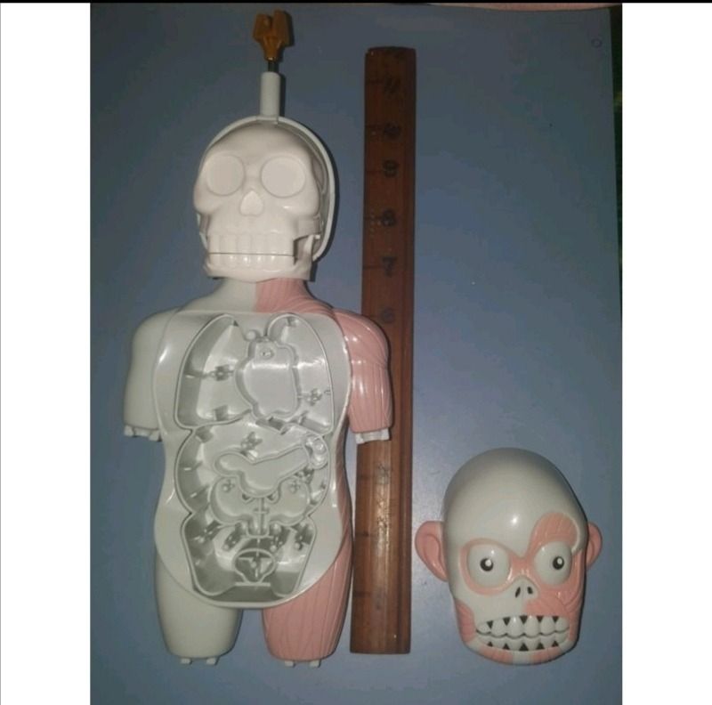 MegaHouse after-school Kaidan series fear! Doki Doki crash human body ...