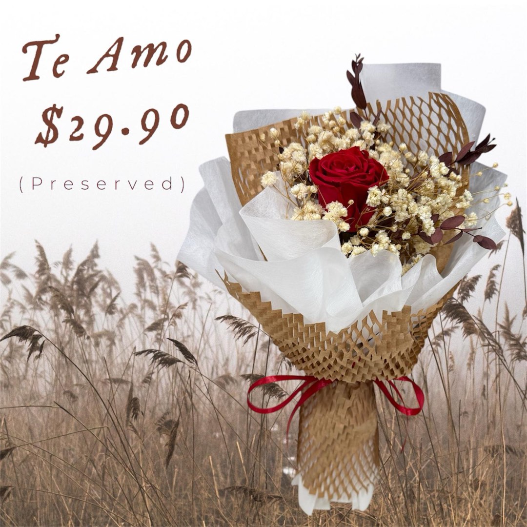 Single stalk Preserved Red Rose, Baby Breaths, Friendship, Birthday ...