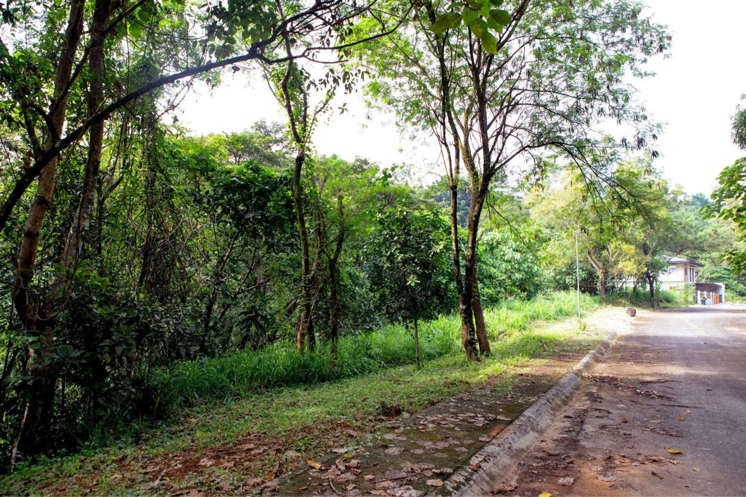 Prime lot for Sale in Parkridge Estate Antipolo, Property, For Sale ...
