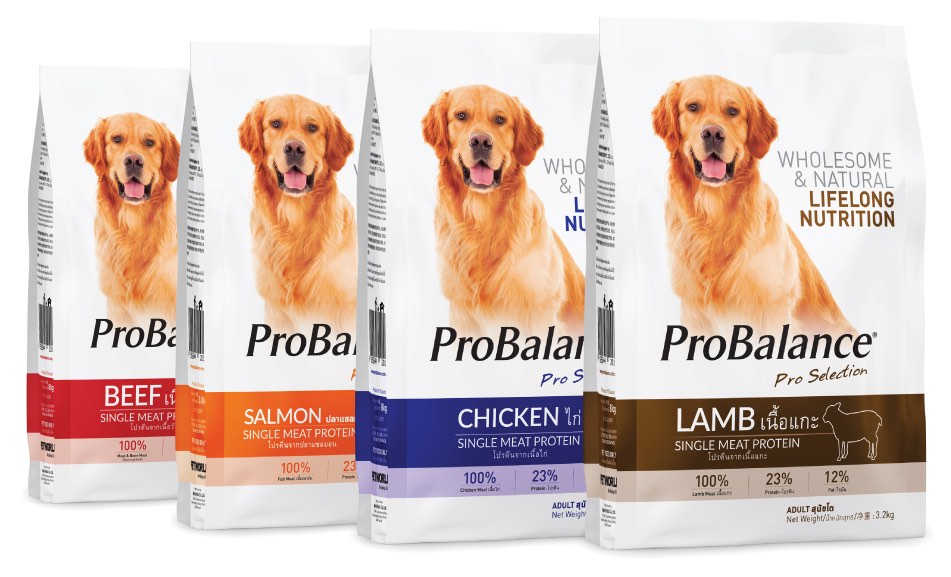 Probalance Dog Kibbles, Pet Supplies, Pet Food on Carousell