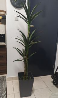 IKEA Artificial plant fejka house of bamboo, Furniture & Home Living ...