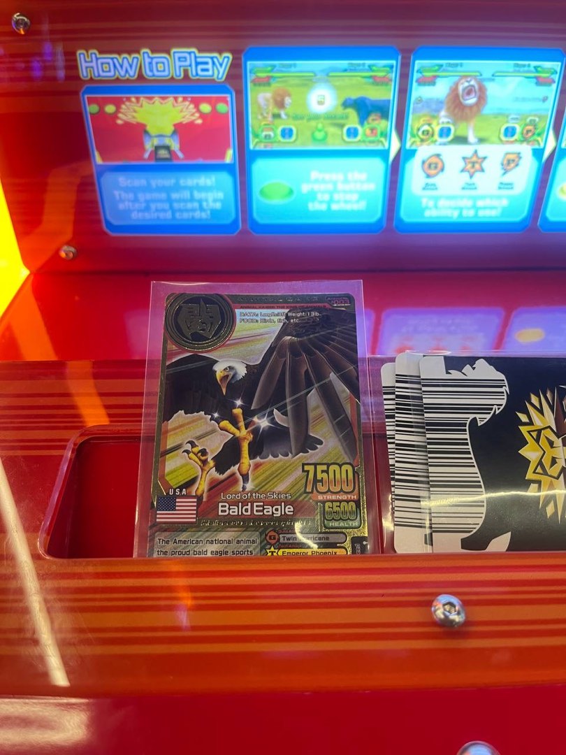 BALD EAGLE (animal kaiser), Hobbies & Toys, Toys & Games on Carousell