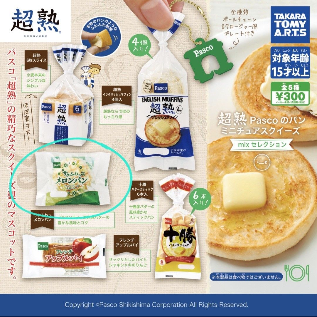 Gashapon Gachapon Japan miniature keychain Gacha toy cute Pasco Melon ...