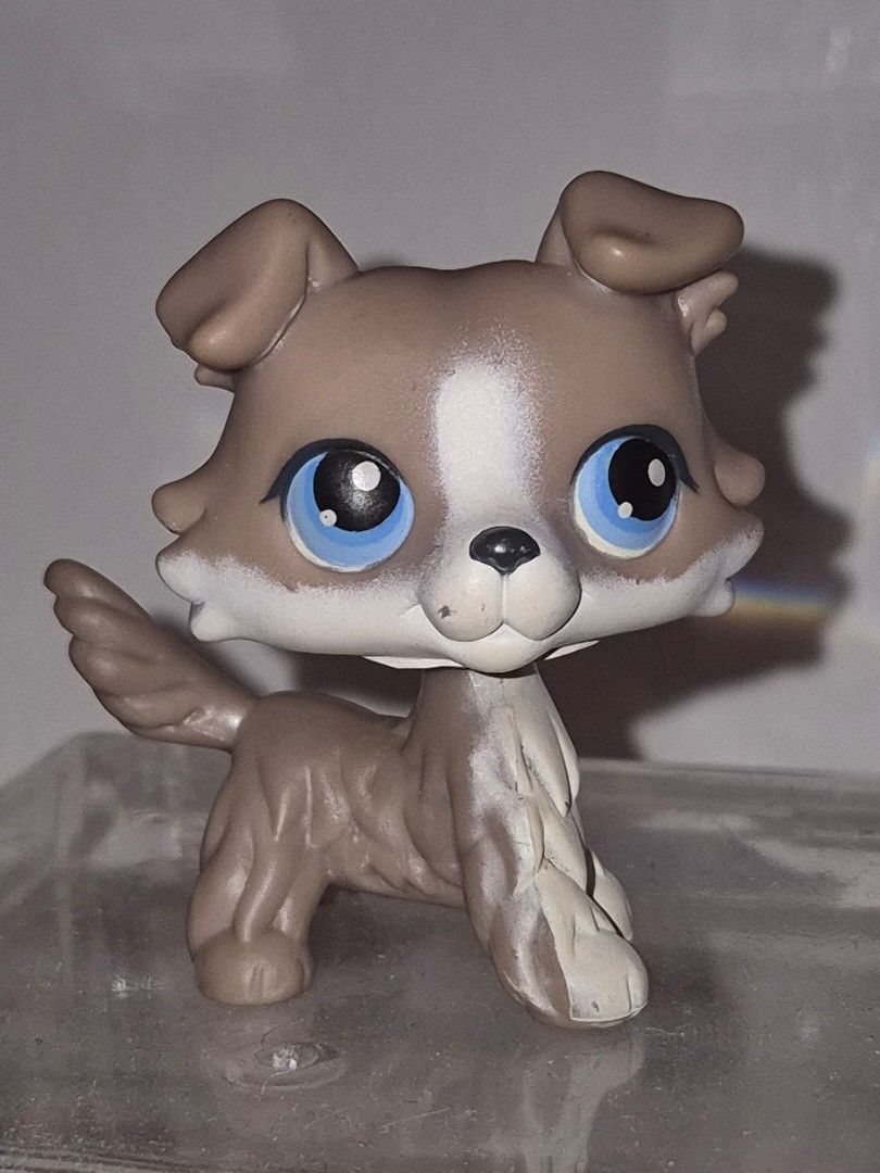 Lps LITTLEST PET SHOP COLLIE, Hobbies & Toys, Toys & Games on Carousell