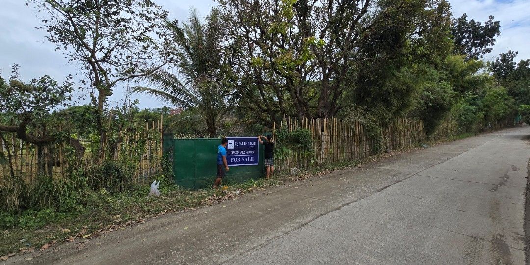 LOWERED PRICE: Norzagaray Bulacan Hillside Farm Lot for Sale with Nice ...