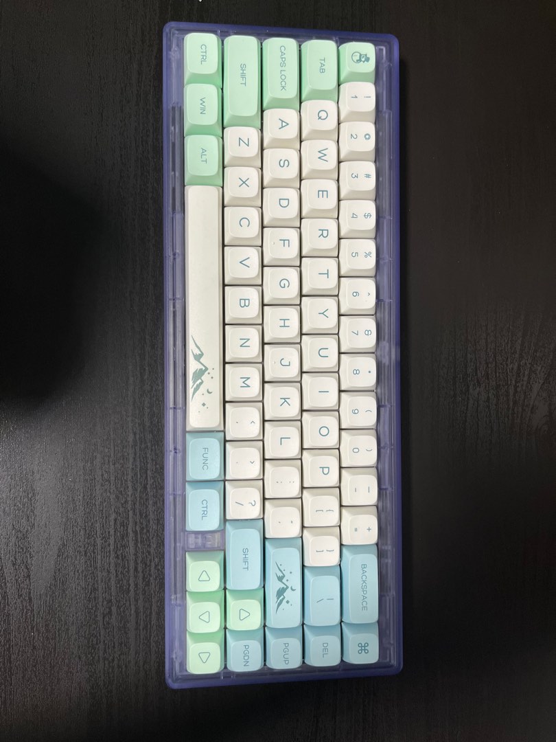 Gas67 mechanical keyboard, Computers & Tech, Parts & Accessories ...