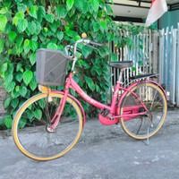 Sepeda mini 24 inchi Pro GT survivor minion japan jengki vintage sepeda ...