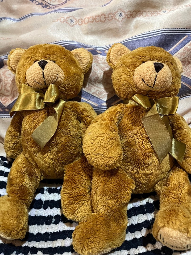 Twin Teddy Bear, Hobbies & Toys, Toys & Games on Carousell