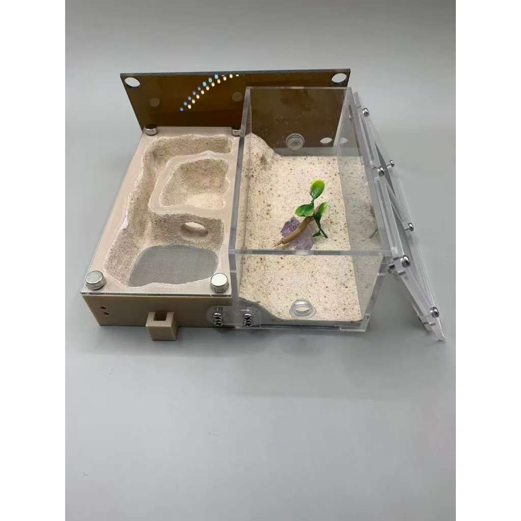 Ant Nest; Large Flat Built-In Water Humidity; Expandable, Pet Supplies ...