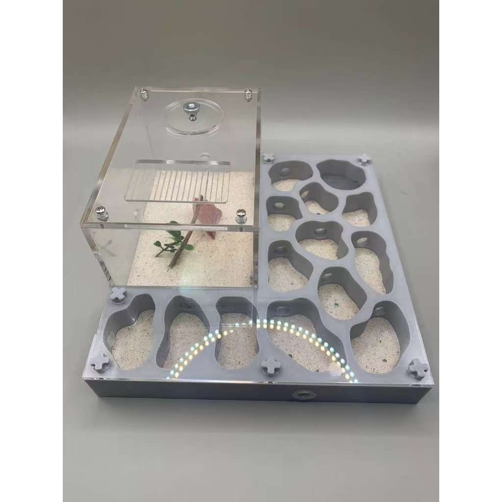 Ant Nest; Large Flat Nest (Entry Model); Built-In Water Humidity, Pet ...