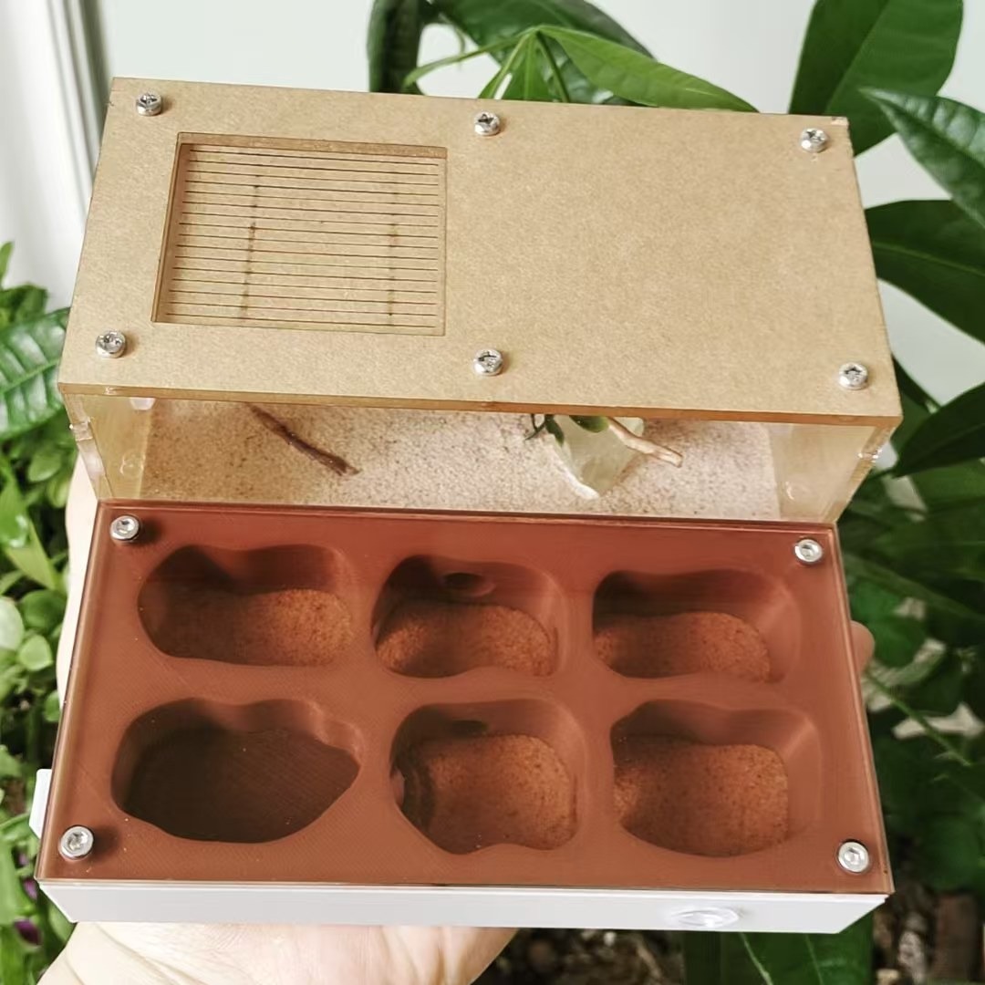 Ant Nest; Medium Flat Nest (Entry Model); Built-In Water Humidity, Pet ...
