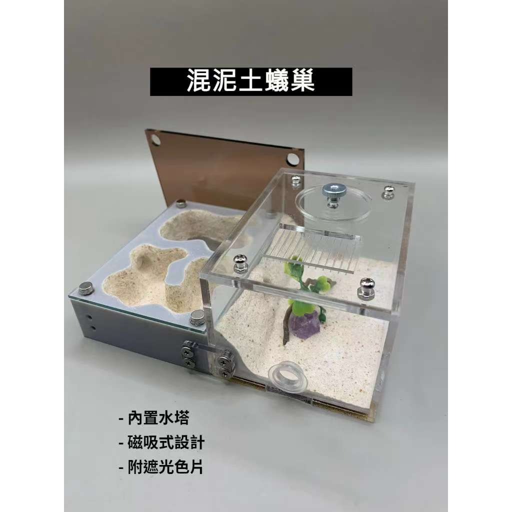Ant Nest; Medium Flat Nest (Expendable); Built-In Water Humidity, Pet ...