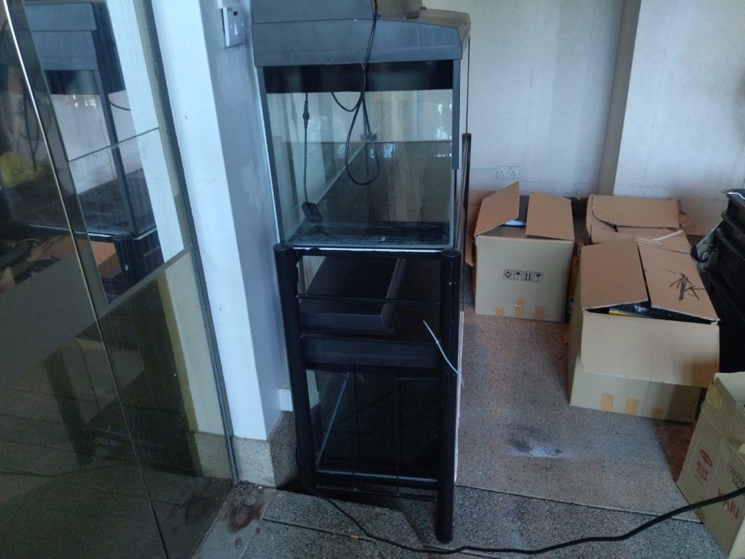 aquarium 2 tingkat saiz besar, Pet Supplies, Homes & Other Pet ...