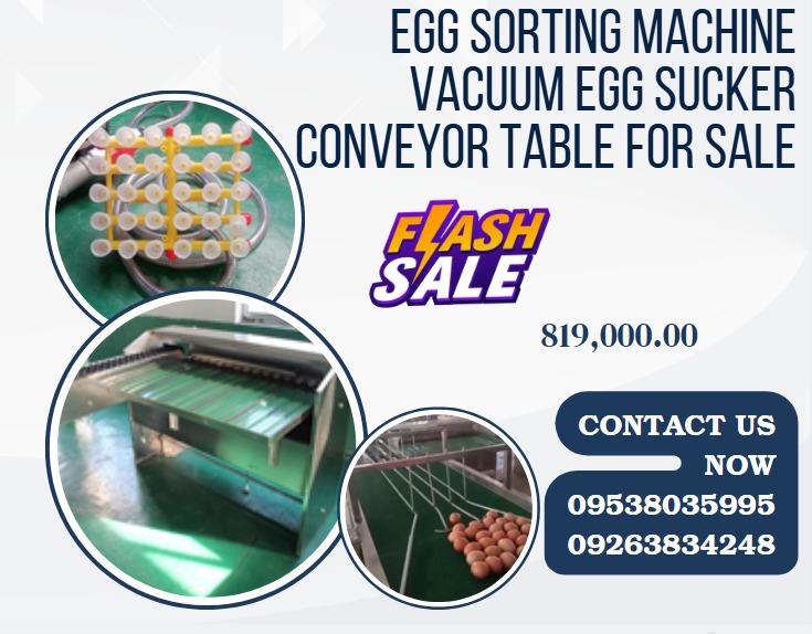 Egg sorting machine Vacuum egg sucker Conveyor table FOR SALE ...