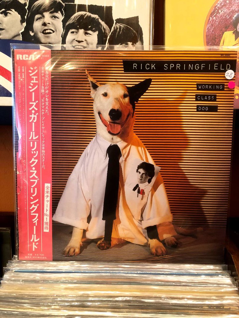 Rick Springfield - Working Class Dog (1981 Japanese Pressing Vinyl ...
