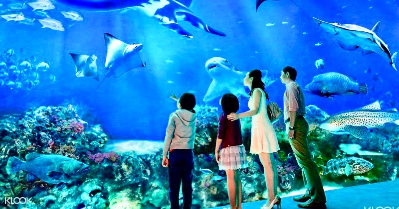 Singapore Oceanarium ticket Sentosa Oceanarium Sea Aquarium Universal ...