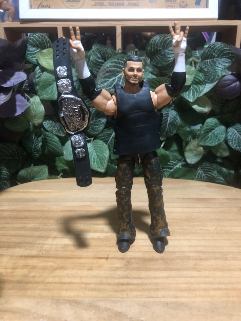 WWE Mattel Elite Ringside Exclusive ECW Matt Hardy, Hobbies & Toys ...