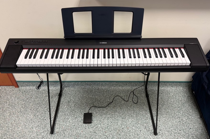Yamaha NP-35 Piaggero, Hobbies & Toys, Music & Media, Musical ...