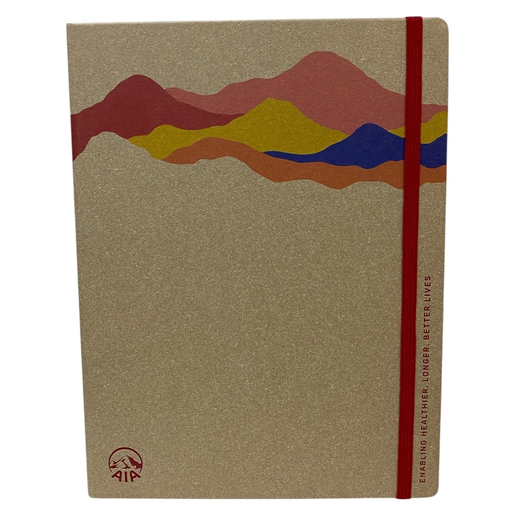 2025 AIA EXECUTIVE DIARY PLANNER BOOK B5 [19 x 25 CM], Hobbies & Toys ...