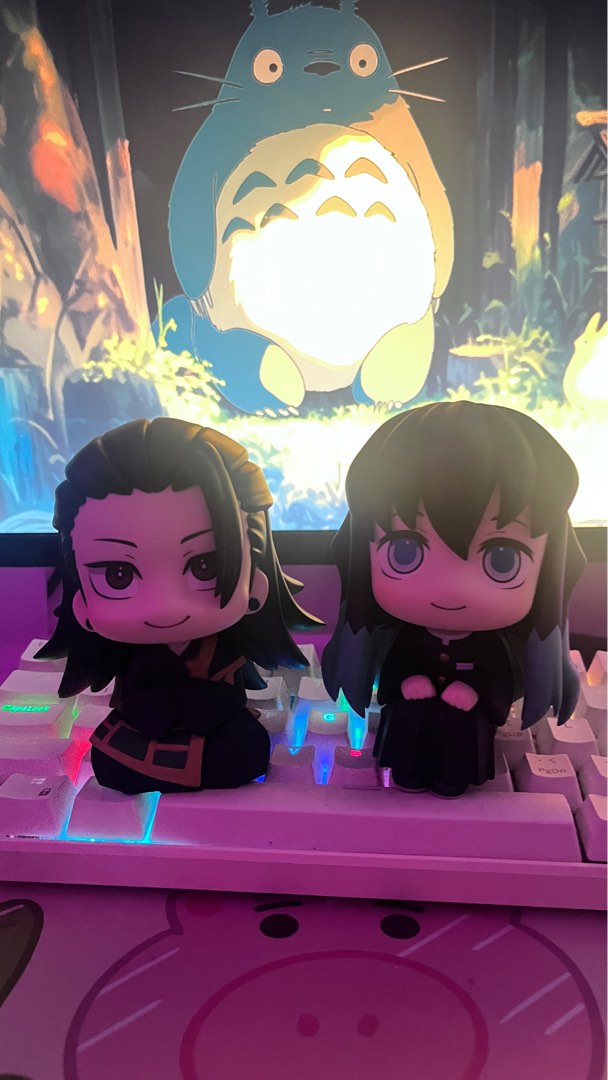 Geto & Muichiro Lookup, Hobbies & Toys, Toys & Games on Carousell