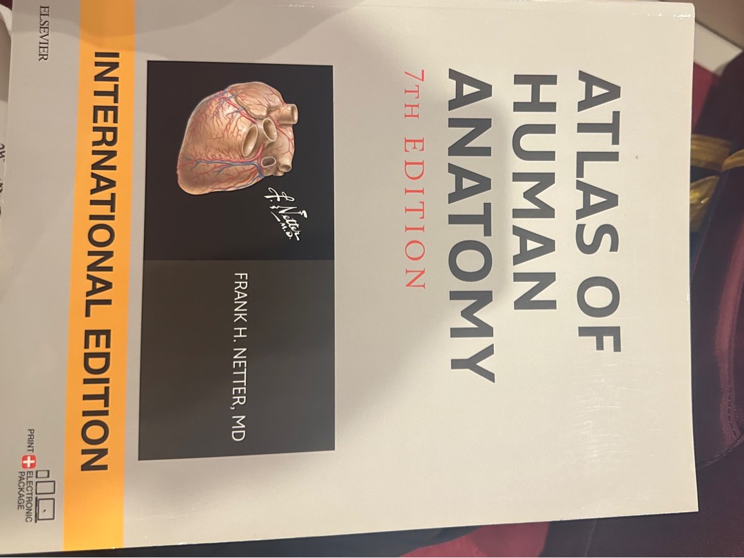 Netter’s anatomy, Hobbies & Toys, Books & Magazines, Textbooks on Carousell