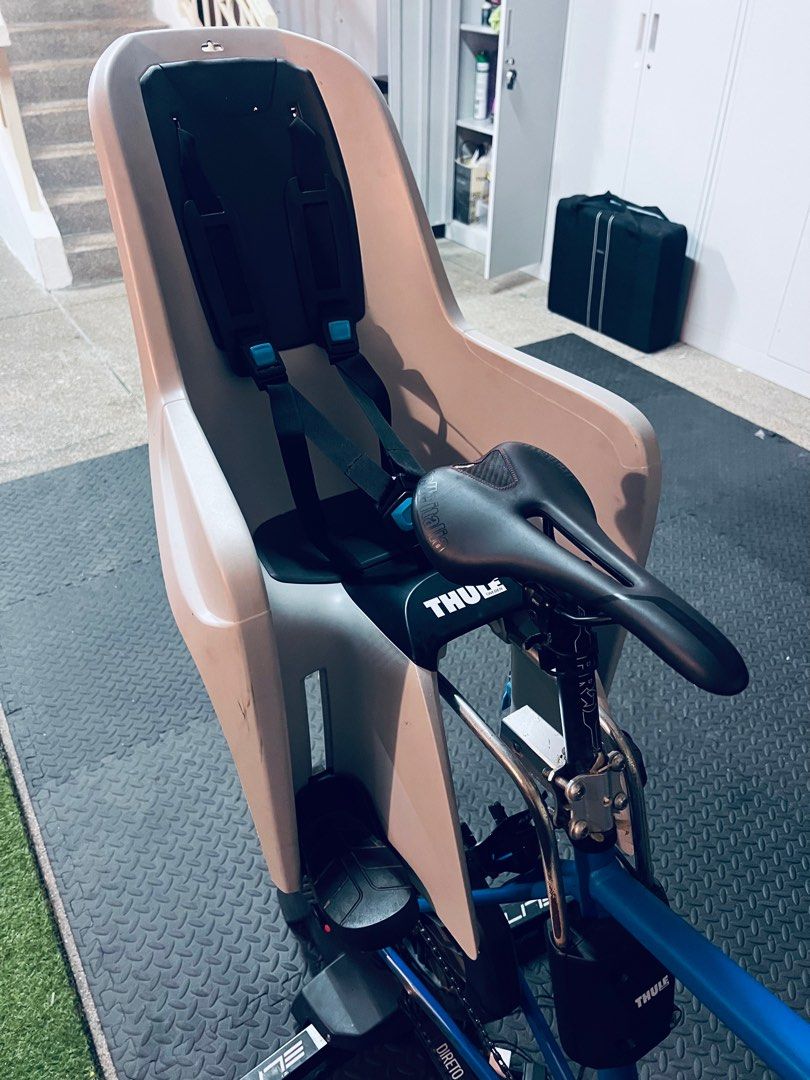 Thule RideAlong Lite 2 frame mount child bike seat light gray, Babies ...