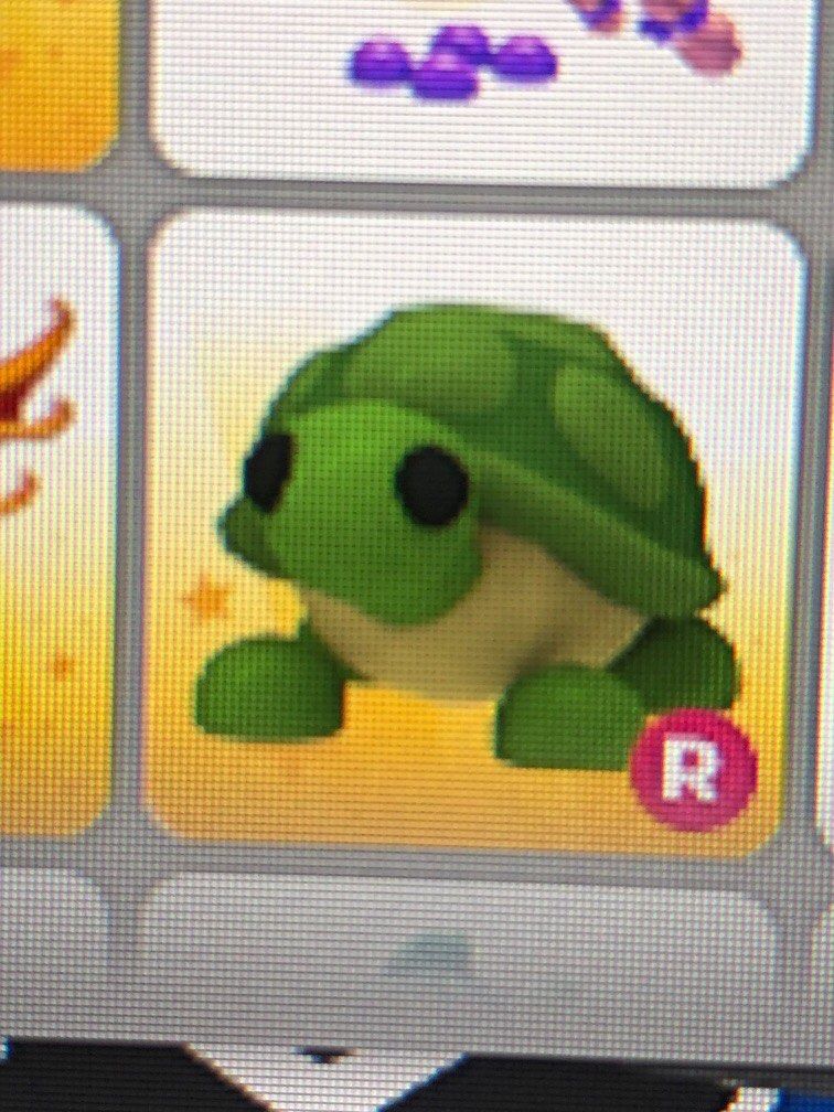 adopt me ride turtle, Video Gaming, Video Game Consoles, Others on ...