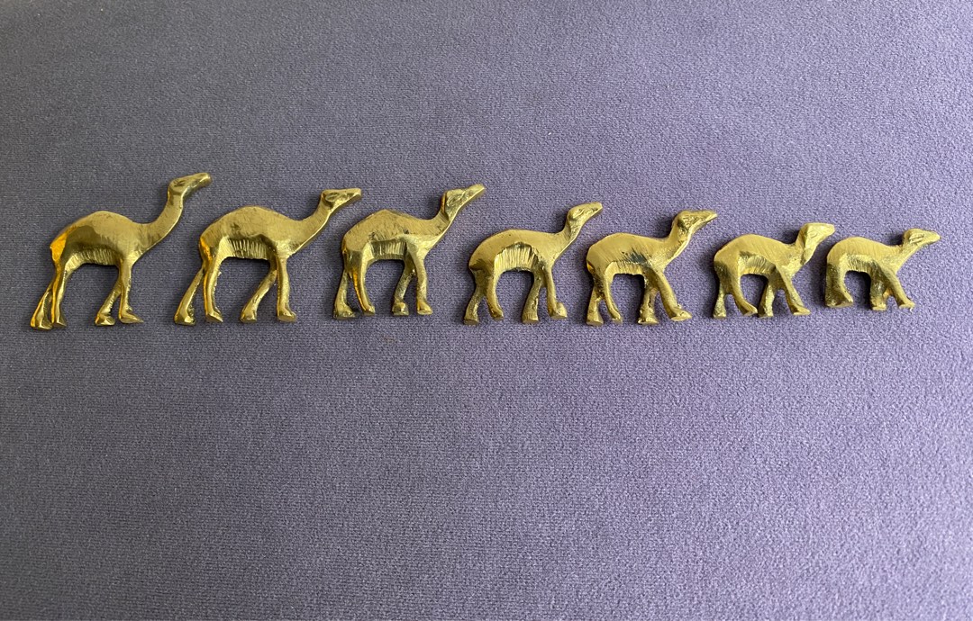 Brass camel for display, Hobbies & Toys, Stationery & Craft, Other ...