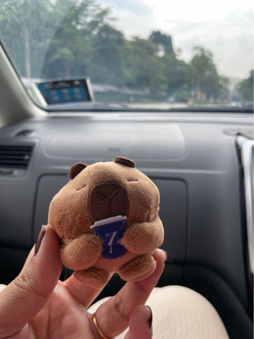 CAPIBARA ORIGINAL ZUS PIN merchandise, Babies & Kids, Infant Playtime ...