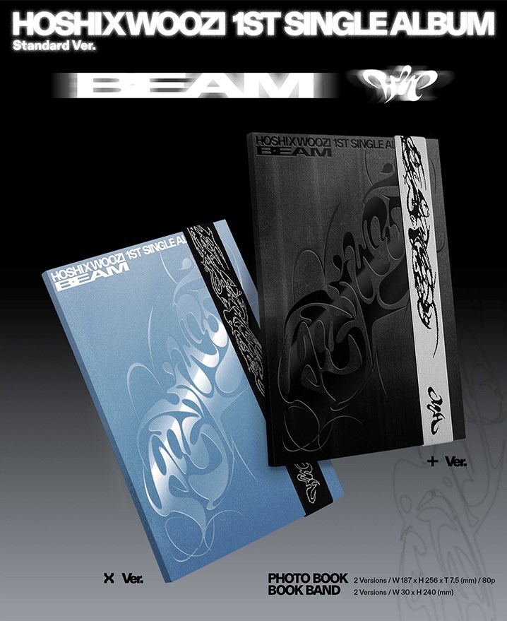 hoshi woozi BEAM album GO, Hobbies & Toys, Memorabilia & Collectibles ...