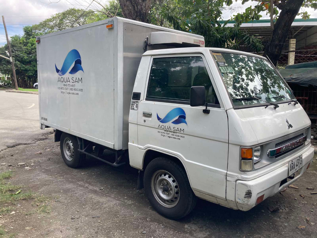 Mitsubishi L300 fb van Manual, Cars for Sale, Used Cars on Carousell