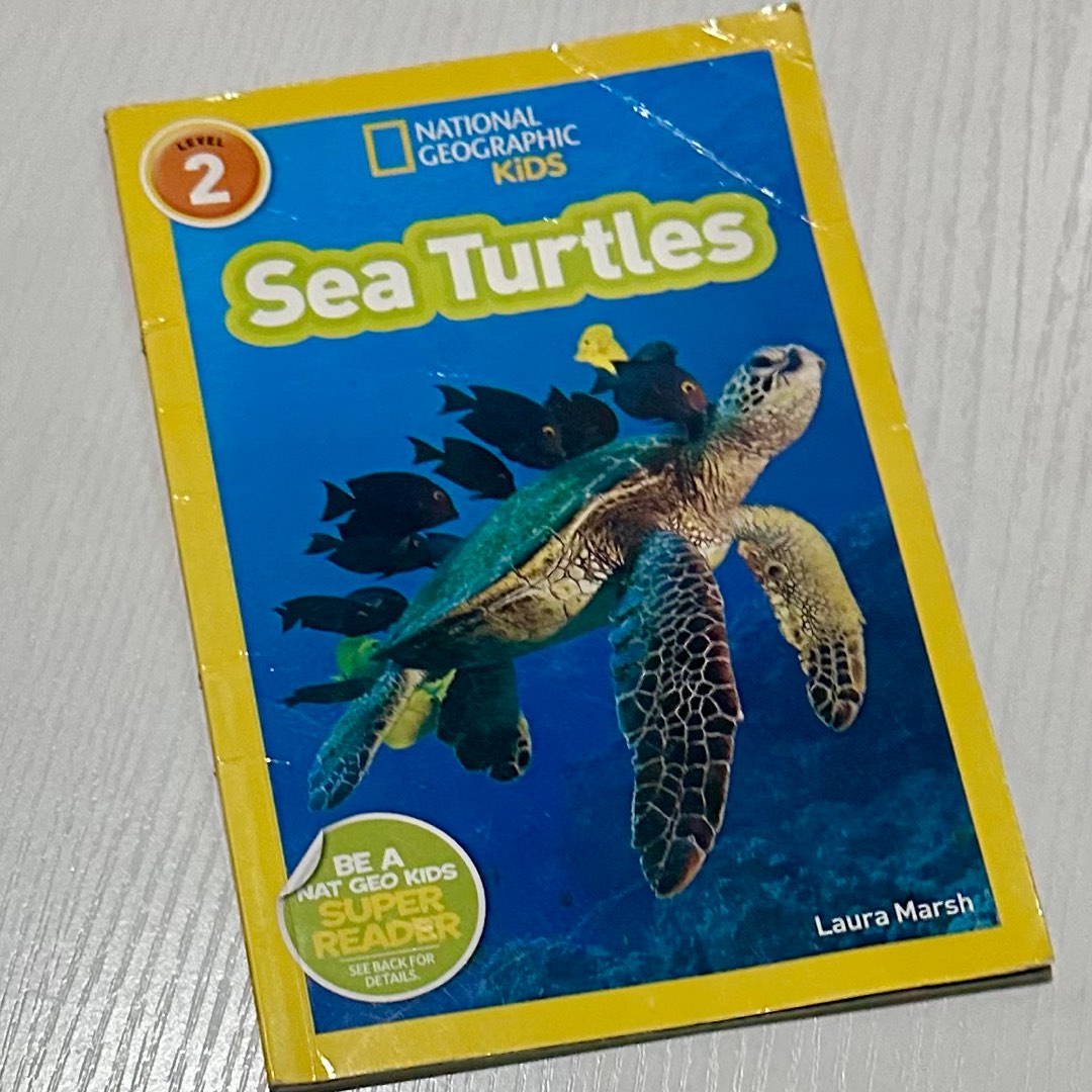 National Geographic Kids - Sea Turtles, Hobbies & Toys, Books ...