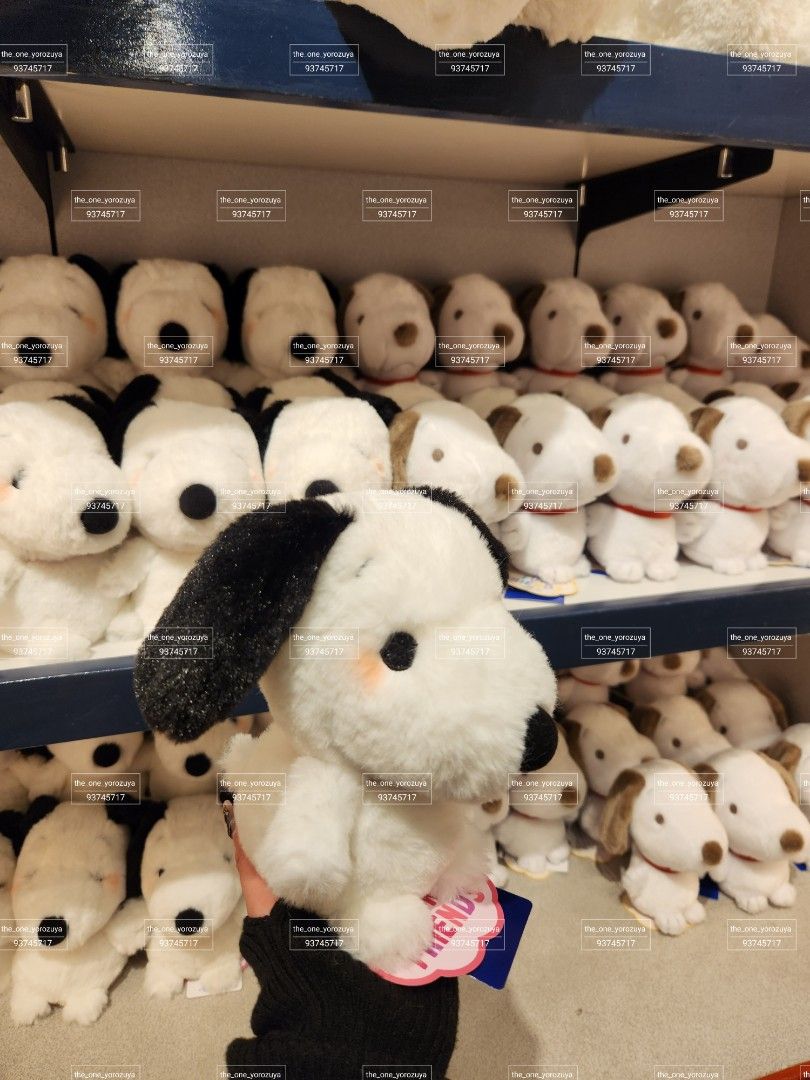 Snoopy 公仔 snoopy 日本 usj usj代購 日本環球影城 日本代購 日本環球影城代購 日本usj代購 史路比 日本snoopy ...