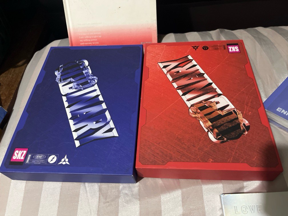 Stray kids Ordinary bundle, Hobbies & Toys, Memorabilia & Collectibles ...