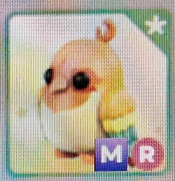 Adopt me mega neon love bird, Video Gaming, Gaming Accessories, In-Game ...