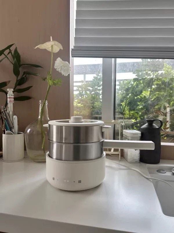 Olayks 2.5L Electric Multifunction Cooker Stainless Steel With Steamer Split Cooker Hotpot, TV ...