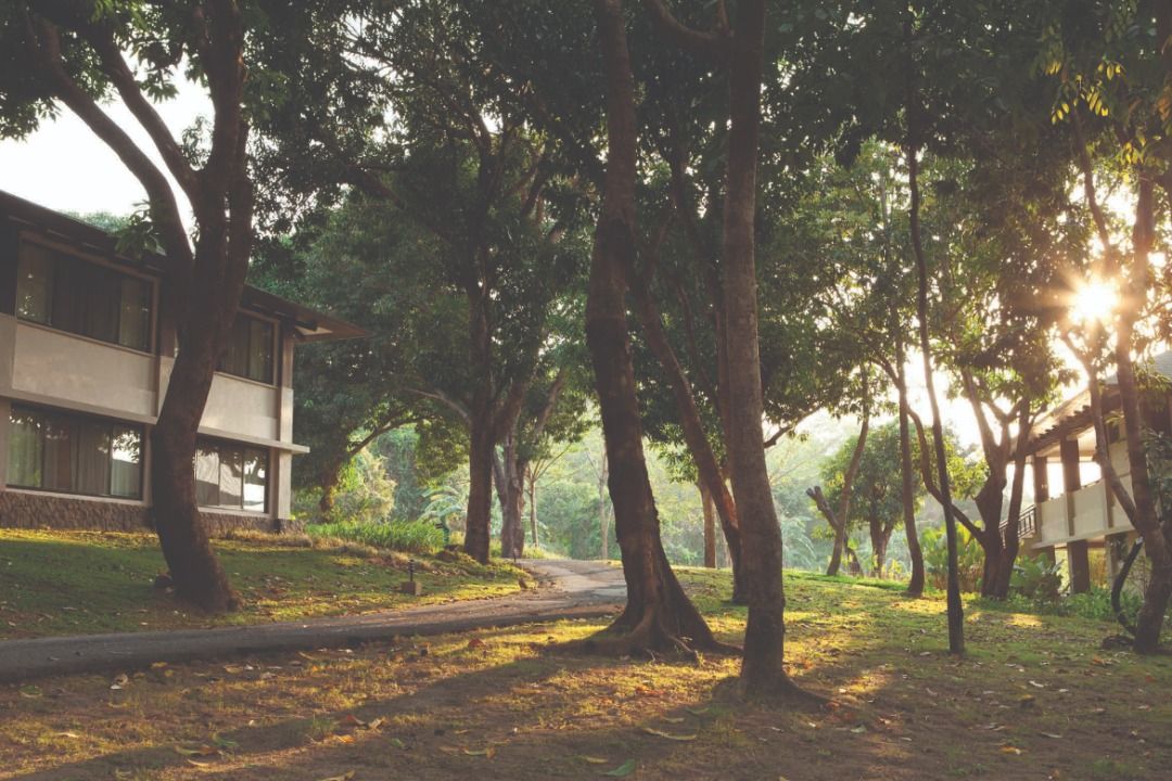 One Bedroom Unit in Maya Tower Searidge Residences at Anvaya Cove ...