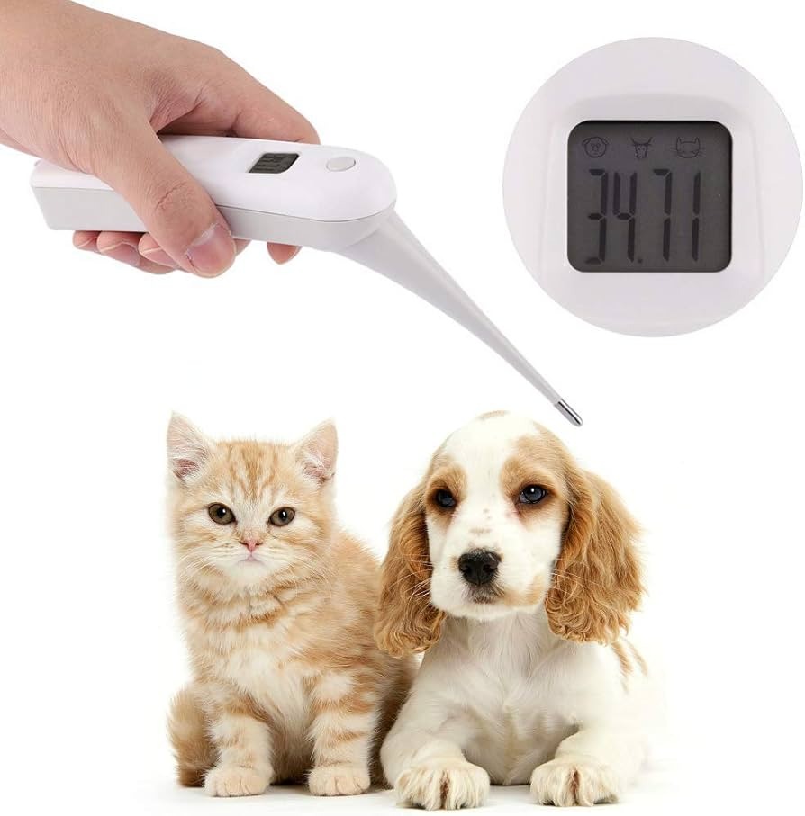 Pet Thermometer, Electronic Animal Thermometer Vet Thermometer for ...