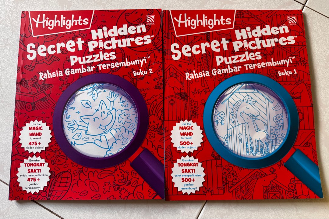 Secret Hidden Pictures Puzzle Books 1 & 2, Hobbies & Toys, Books ...
